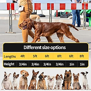 SFTORMAS Leather Dog Leash 6ftx3/4inch,Braided Leather Leash for Dogs,Soft Leather Training Dog Leash,Strong Leather Leash for Small Medium Large Breed Dogs,Brown