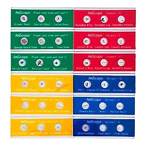 AmScope - 36pc Kids Prepared Microscope Slide Set of Color-Coded Zoological and Botanical Prepared Specimen Slides -PS-P12X3-A