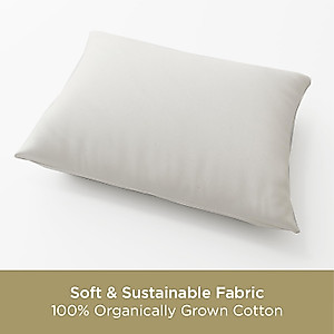 AllerEase Organically Grown Soft Cotton Odor Neutralizing Allergy Defense Bed Pillow- King - 2 Pack