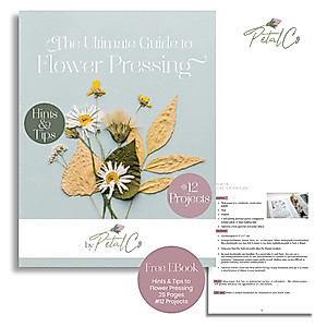 Petal Co Wooden Flower Press 7inch x 7inch with Frame for pressed flowers and leaves including Ultimate Guide to Flower Pressing