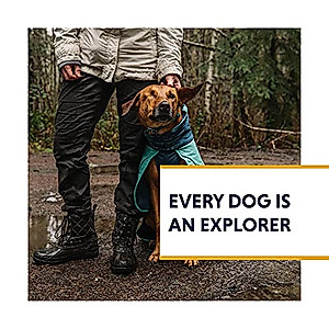 Ruffwear, Dirtbag Dog Towel, Camping and Outdoor Absorbent Coat, Aurora Teal, Medium