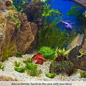 SunGrow Betta Fish Cave, Habitat Made from Coconut Shell, Soft-Textured Smooth Edged Spacious Hideout, for Resting and Breeding, 1 Pc