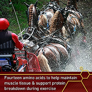 Vita Flex Pro Accel Health & Wellness Formula, Horse Supplement, 15 Pounds, 240-Day Supply