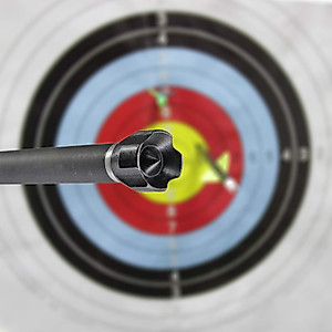 maifield 100 Grain Archery Hunting Small Game Hammer Broadheads Crossbow Compound Bow Arrow Tips (12PK Black Hammer Head)