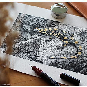 Rotring Isograph Technical Pen, 0.50 mm