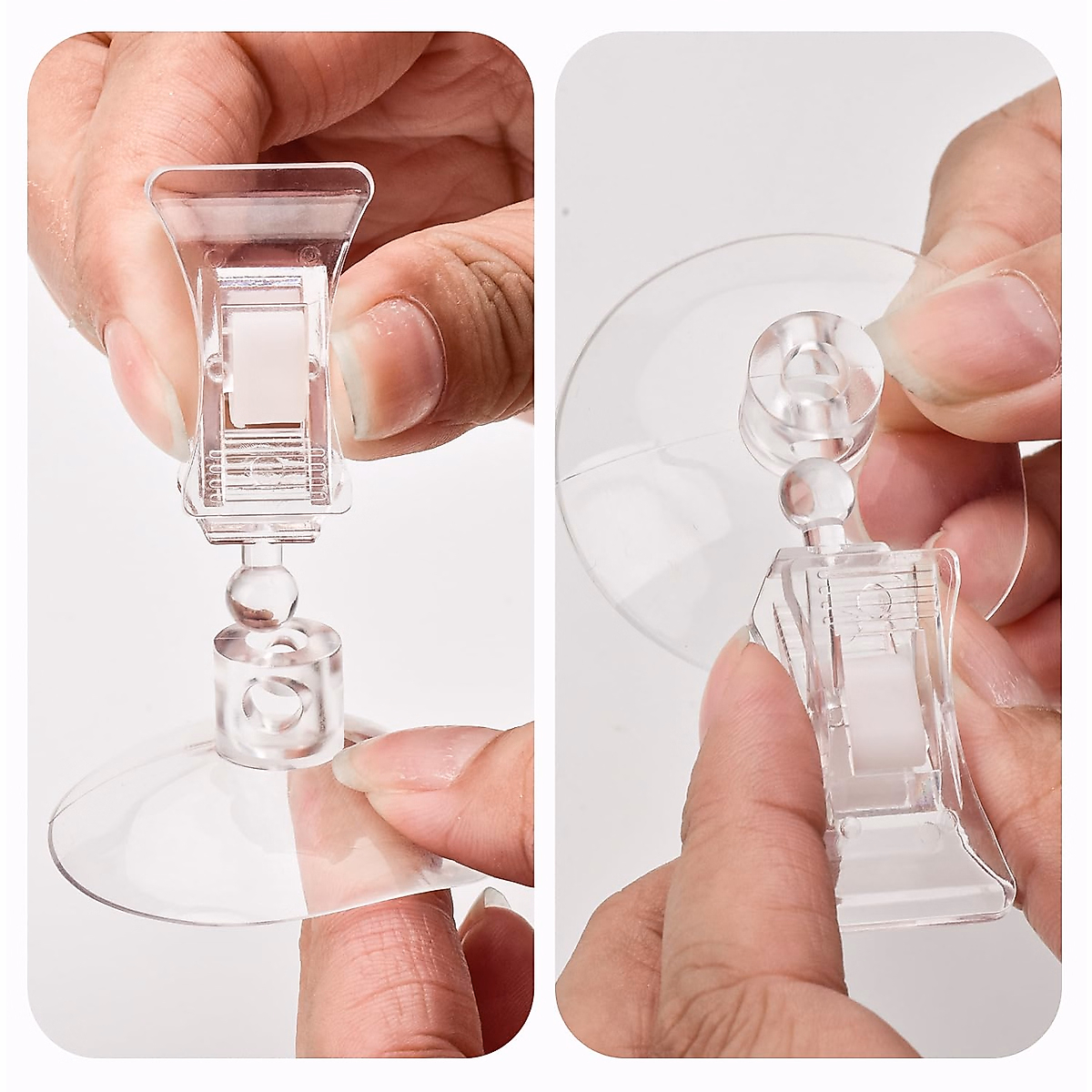 AccEncyc 12Pcs Veggie Clips Aquarium Seaweed Clips Fish Food Holder Wide Mouth Clips Plants Suction Cups Algae Clips for Freshwater and Marine Fish Tank (Plastic)