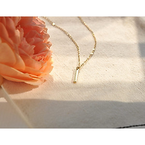 Aghfacy Dainty Bar Necklace for Women | Cute Bar Pendant Choker | Bar Necklace Gold | Tiny Bar Pendant Necklaces | Layered Bar Necklace