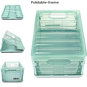 WIONBE Manual Incubator Birds Parrot Small Animals Thermostat Breeding Box Bird Eggs Hatching Brooder Heater