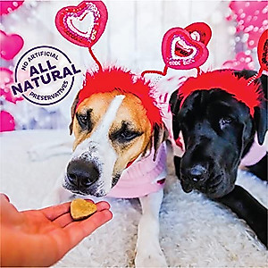 Old Mother Hubbard Natural Crunchy Dog Biscuits, Oven-Baked Healthy Treats for Dogs, Limited-Edition Holiday-Inspired Shapes (Peanut Butter - Valentine's Day, 6-Ounce Bag)