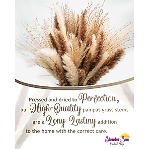 Spear SLENDERSUN Orchid Bouquet Dried Pampas Grass – Pack of 60 Pcs Tall Stems (17,7”) Soft & Fluffy Floral Bouquets Minimalist, Rustic, Luxury Home Garden Décor, White, Brown, Reed