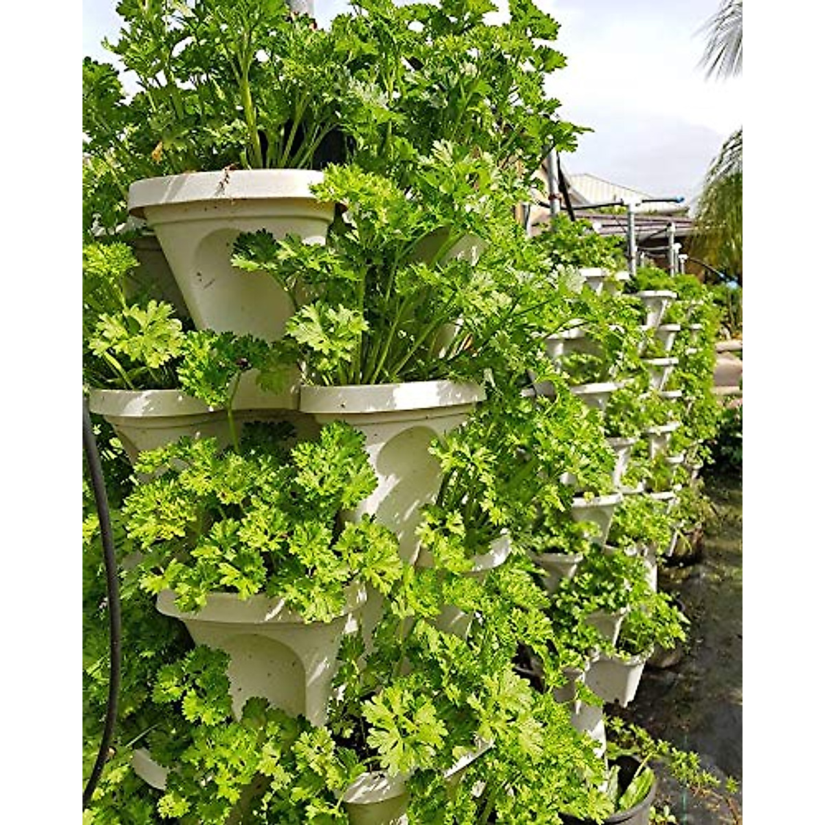 5-Tier Pink Strawberry and Herb Garden Planter - Stackable Gardening Pots with 10 Inch Saucer
