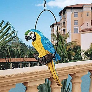 Design Toscano Polly in Paradise Parrot Hanging Bird Ring Perch Statue, Medium, Full Color Finish