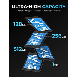 SABRENT Rocket V60 1TB SD UHS-II Memory Card R270MB/s W170MB/s (SD-TL60-1TB)