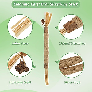 LDXDRU 20Pcs Silvervine Sticks for Cats, Natural Cat Chew Toys, Nylatails Silvervine Dental Stick for Dental Care, Edible Matatabi Cat Chew Sticks for Teeth Cleaning, Kitty Toys for Indoor Cats