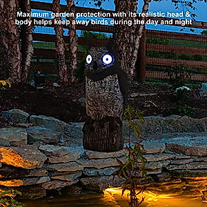 Galashield Owl Decoy | Plastic Owls to Scare Birds Away with Solar Powered LED Eyes | Owl Statue for Garden & Outdoors