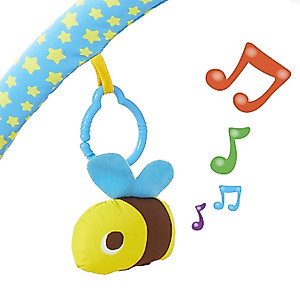 Bruin My 1st Playgym