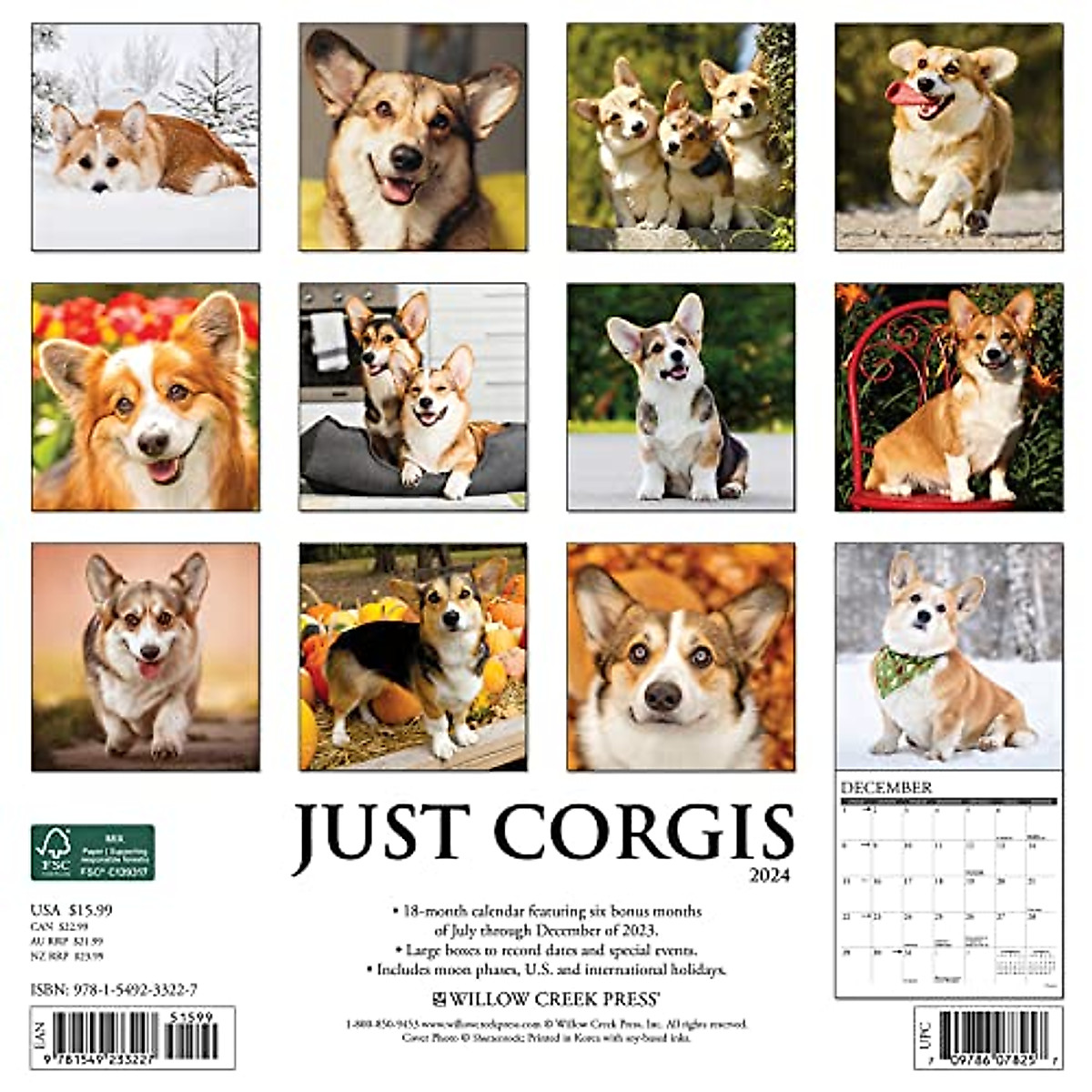 Willow Creek Press Corgis Monthly 2024 Wall Calendar (12" x 12")