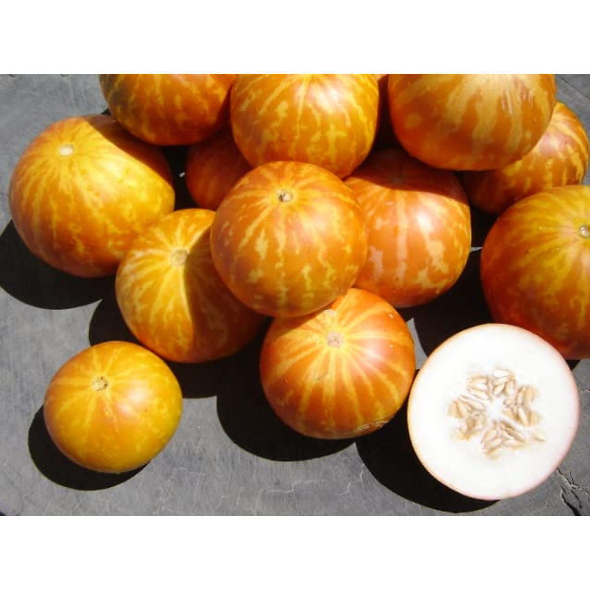 50 Tigger Melon Seeds Ornament Garden Planting Can Grow in Pot