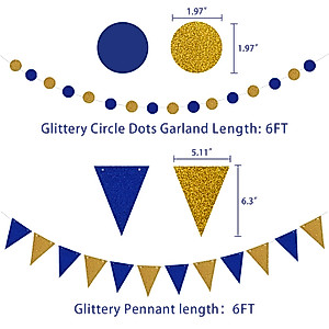 Navy Blue Gold Birthday Decorations, Birthday Party Supplies for Men Women Boys Girls with HAPPY BIRTHDAY Banner, Tissue Paper Flowers Pom Pom, Pennant and Circle Dot String, Latex Confetti Balloons