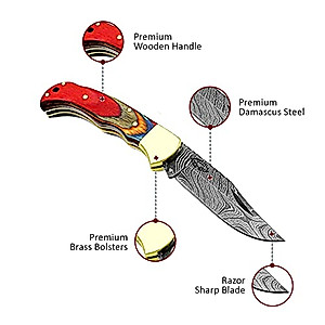 Multi Wood Unique Beautiful 6.5'' Custom Handmade Damascus Steel Brass Bolster Back Lock Folding Pocket Knife Sharpening Rod 100% Prime Quality Plus Beautiful Blue Wood Stainless Steel Pocket Knive