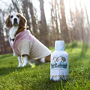 Pet Refresh Pet Laundry Detergent - Unscented - 16oz - Laundry Odor Eliminator for Strong Odor - Pet Odor Laundry Detergent - Urine Odor Eliminator - Dog Laundry Detergent