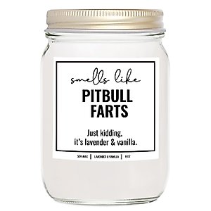 YouNique Designs Smells Like Pitbull Farts Soy Candle Gifts for Pitbull Lovers - Pit Bull Mom Gifts for Women - Pitbull Mom Gifts Dog Farts Candle 8oz - Gifts for Dog Lovers (Lavender & Vanilla)