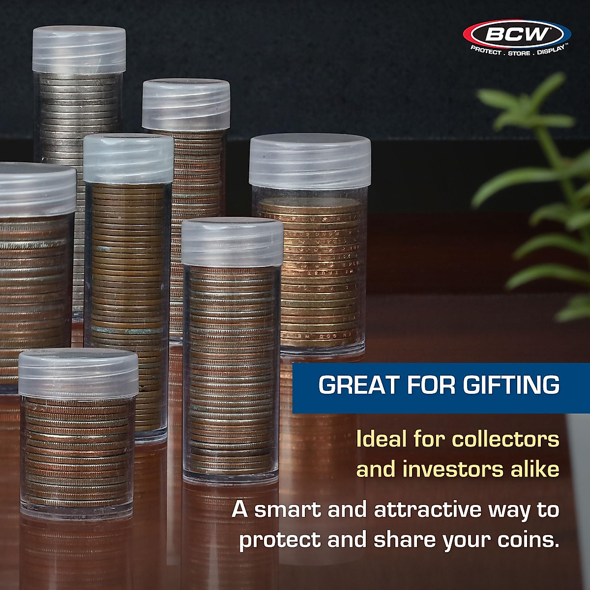 BCW Clear Quarter Coin Tubes with Screw-On Cap, Each Holds 40 Quarters (10-Tubes Total)