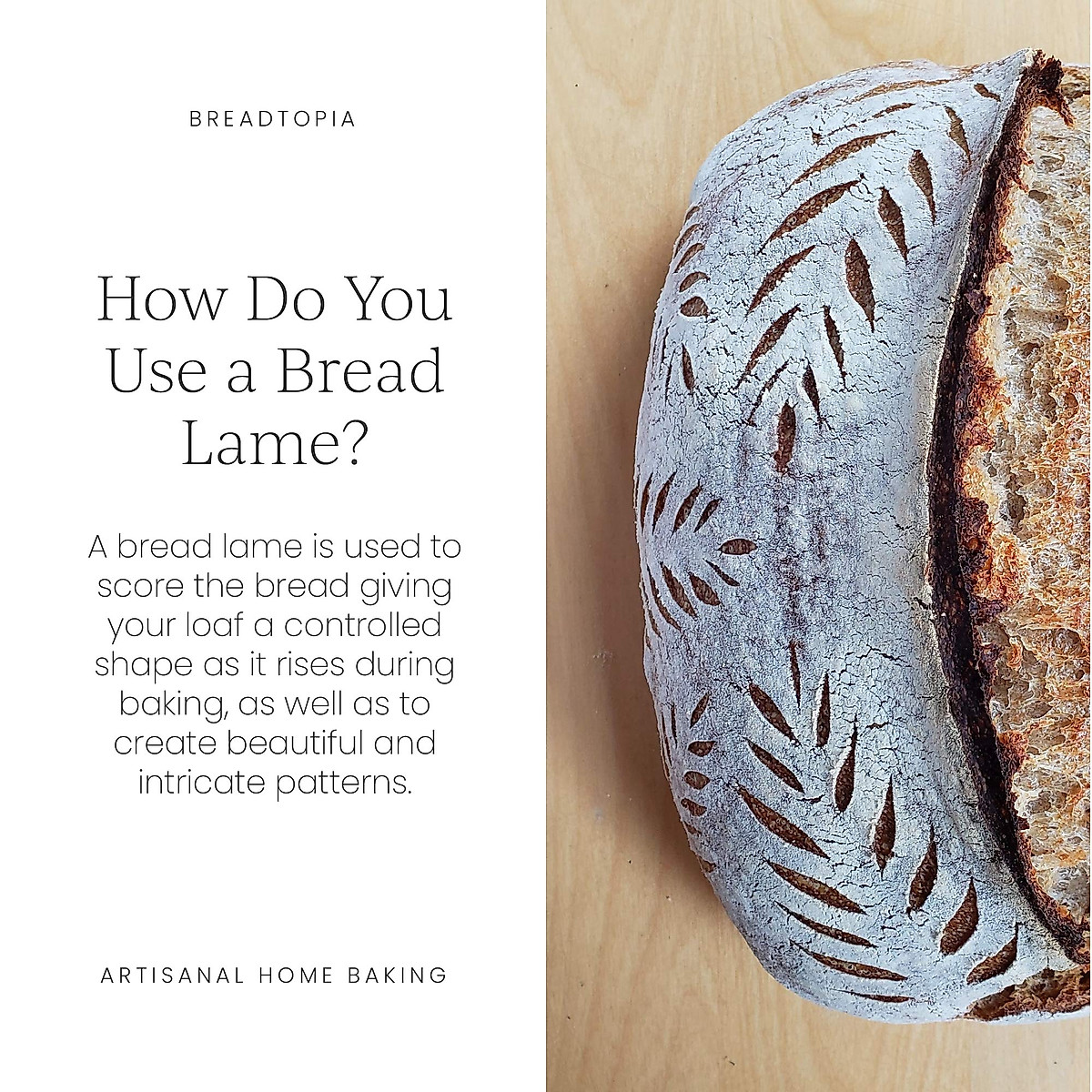 Breadtopia Bread Lame with 5 Blades & Storage Box | Premium Lame Bread Tool | Bread Lame Dough Scoring Tool | Perfect as a Sourdough Scoring Blade | Ideal Gifts for Bakers |