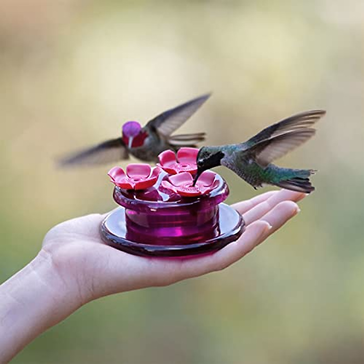 Bird Feeder Feeder Hummingbird Drinking Water Handheld Water Feeder New P-roduct Garden
