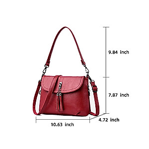 MINTEGRA Crossbody Bag for Women with Tassel Functional Shoulder Purse Saddle Messenger Bag