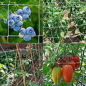 YXNBIIN Heavy Duty Trellis Netting Roll - 5ft × 750ft Soft Mesh Support Garden Netting Bulk Roll for Climbing Plants, Grape Racks, Cucumbers, Melons, Vine Vegetables, Fruits, and Flowers