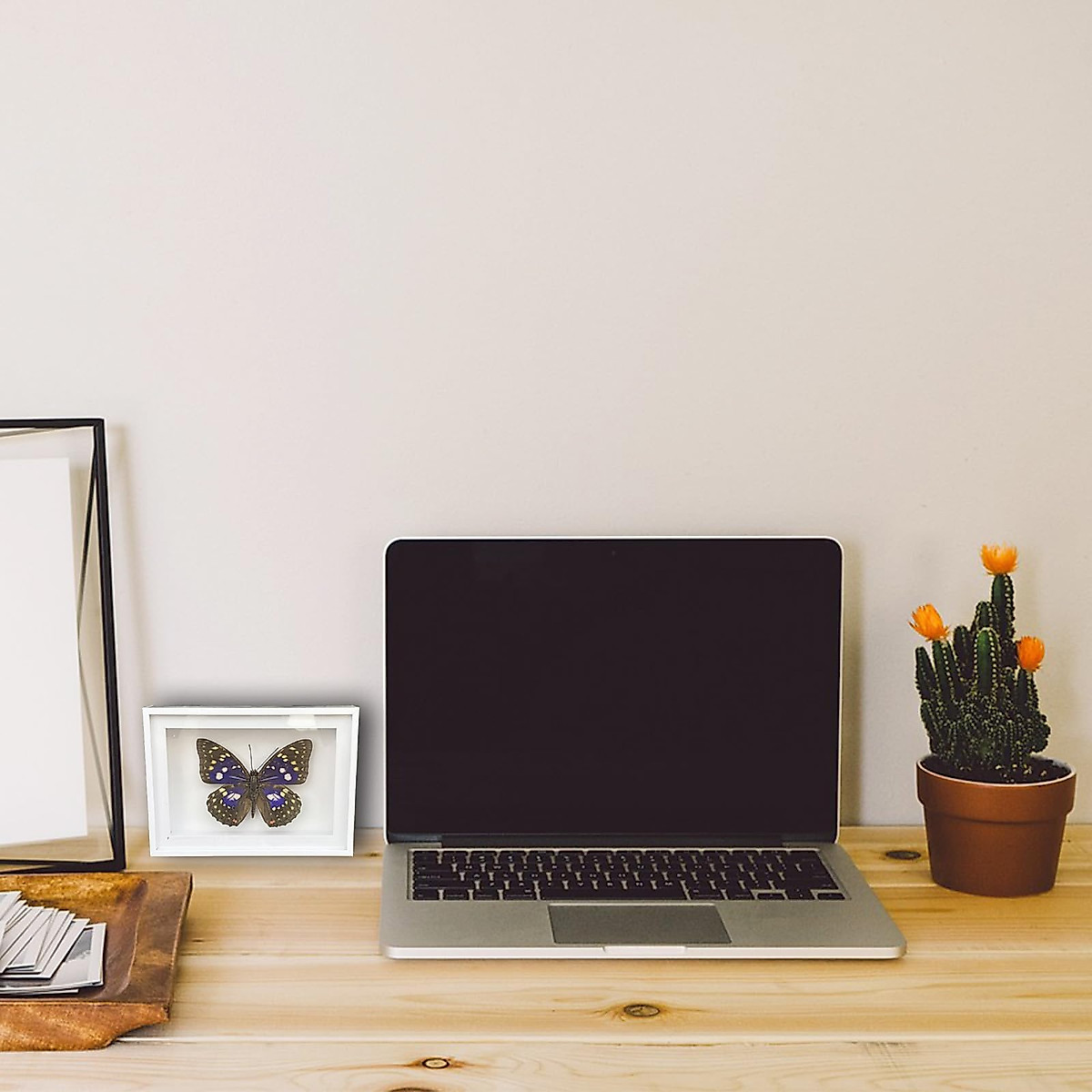 CXUEMH 2 Pcs Framed Butterfly Real Butterfly Specimens Taxidermy Butterfly in Frame Insect Collection Home & Office Desktop Decor Craft Gift for Men Women (Color A)