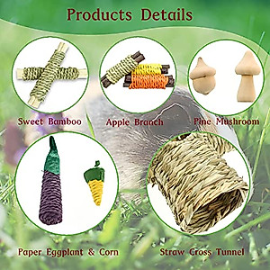 Vehomy Guinea Pig Grass Tunnel Toy Hamster Natural Hideaway Tunnel Tubes and 9Pcs Small Pet Chewing Toys Small Animal Grass House with 5 Entrances for Guinea Pig Syrian Hamster Chinchillas Gerbils