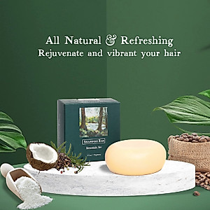 Adirondack Fragrance & Flavor Farm ADK Mountain Air Shampoo Bar for Oily Hair & Sensitive Scalp, Essential Oils, Sulfate-Free Plant-Based Vegan & Eco Friendly Solid Hair Cleanser, 2.5 Oz, 70 grams