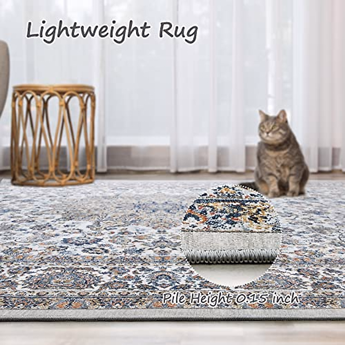 Area Rug Living Room Rugs: 5x7 Large Machine Washable Non Slip Thin Carpet Soft Indoor Luxury Floral Distressed Carpets for Under Dining Table Farmhouse Bedroom Nursery Home Office Multi