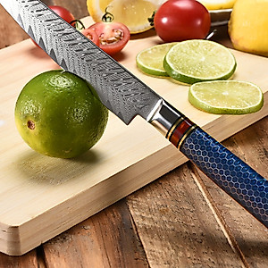 Utility Paring Knife 6 Inch Chef Knife Damascus Chefs Knife Utility Kitchen Knife Fruit Knife Japanese VG10 Kitchen Paring Knives High Carbon 67-Layer Gyuto Chef Knife Chopping Carving Knives