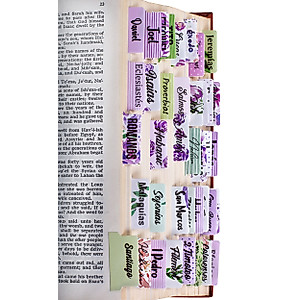 Spanish Bible Tabs for Journaling Bible - 90 Pieces Bible Dividers Tabs for Bible Chapters - Bible Study Supplies - Bible Accessories as Bible Journaling Supplies - Born2Calm
