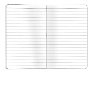 Elan Publishing Company The Indestructible, Waterproof, Tearproof, Weatherproof Field Notebook - 3.5"x5.5" - Green - Lined Memo Book - Pack of 4