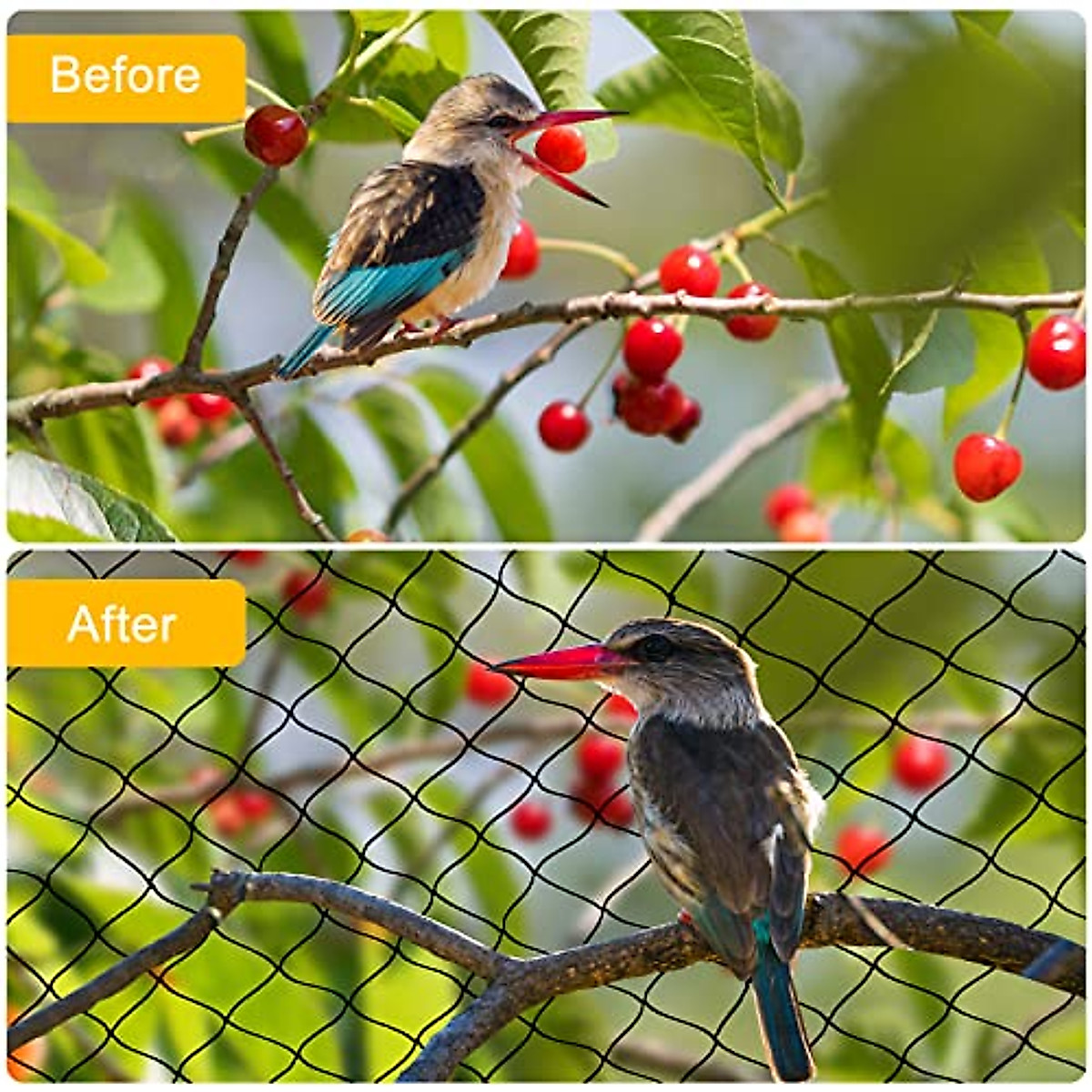 Bird Netting 25'x50' with 2.4" Square Mesh Garden Netting Bird Net for Chicken Coop, Poultry Netting Heavy Duty Nylon Netting for Garden, Aviary, Pests, Deer Fence Chicken Netting Fruit Tree Netting