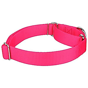 Country Brook Petz - Hot Pink Martingale Heavy Duty Nylon Dog Collar - 21 Vibrant Color Options (1 Inch Width, Medium)