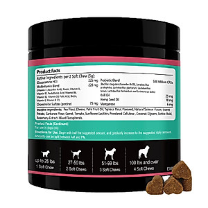 Chews Pawsitive Dog Multivitamins Chewable- 15 in 1 Dog Vitamins Multivitamin for Heart Health - Omega 3 Oil for Skin & Coat, Chondroitin and Glucosamine for Dogs Joint & Mobility, Probiotics - 120ct