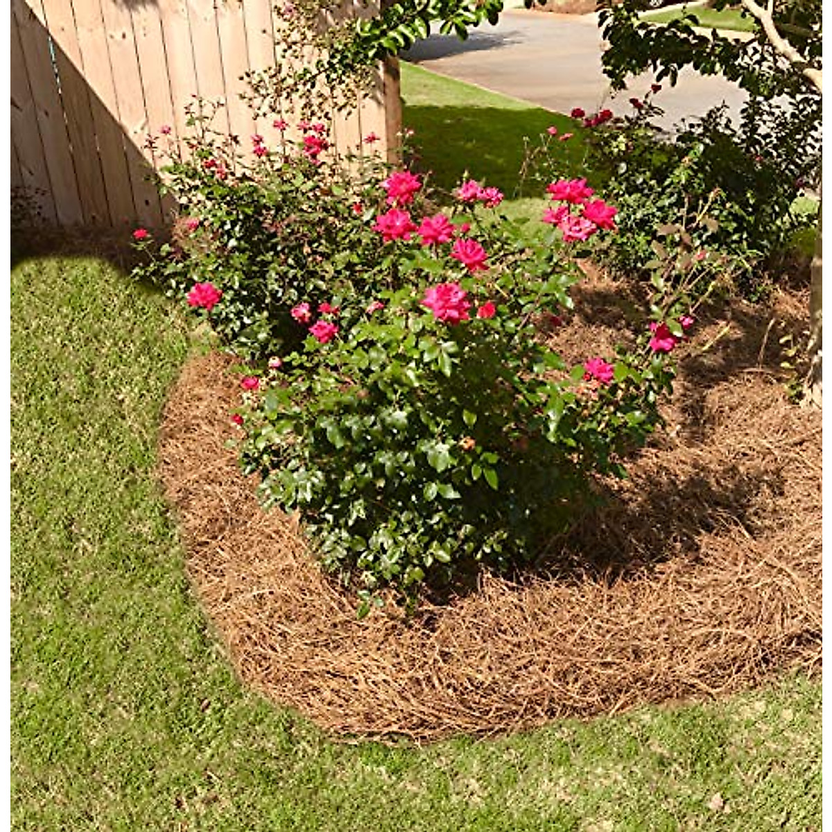 USA Pine Straw - Premium Pine Needle Mulch - Covers 100 Sqft (1)