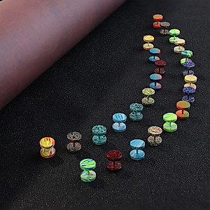 FIBO STEEL12 Pairs Faux Gauge Earrings Stainless Steel Stud Earrings for Men Women Cheater Fake Ear Plugs Gauges Tunnel