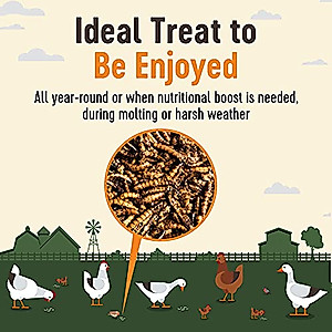 Supreme Grubs Natural Black Soldier Fly Larvae for Chickens, 85X More Calcium Than Mealworms-High Protein Grub Food Chicken Treats for Hens, Probiotic-Rich Chicken Feed, Calcium-Dense Bird Treat 5lb