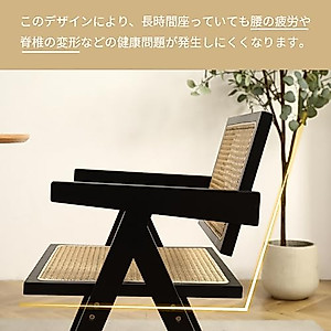 OSJ(オーエスジェイ) WF311175BAA Dining Chair, 中, Black