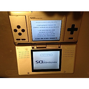 Nintendo DS Titanium