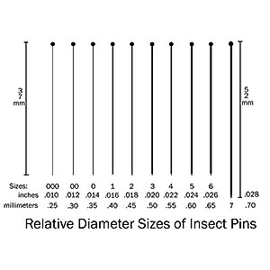 Premium Black Enameled Steel Insect Pins, Size 000, Pack of 100