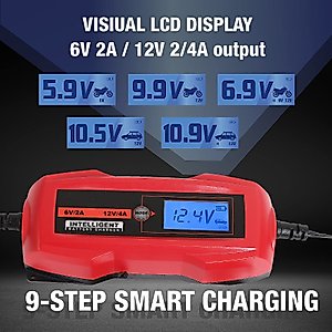 BIG RED TAM4DVLR Torin Portable 6V and 12V, 2/4-Amp Trickle Charger/Battery Maintaince: Fully-Auto Smart Battery Charger, Battery Desulfator with Temperature Compensation