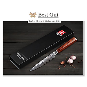 YARENH Kitchen Knife,Fruit Knife 5 inch,Damascus Steel Blade,High Carbon,67 Layers,Full Tang,Kitchen Utility Knife for Professional Chef,Pakka Wood Handle,Gift Box Packaging, HYZ-Series