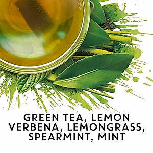 TAZO Organic Zen Green Tea, Green Tea Zen for Health and Wellness, 96 Total Tea Bags (16ct - Pack of 6)